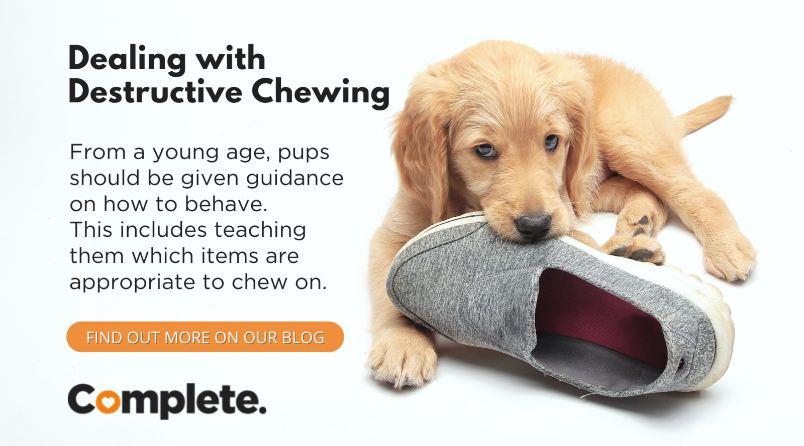 DEALING WITH DESTRUCTIVE CHEWING - Complete Pet Foods