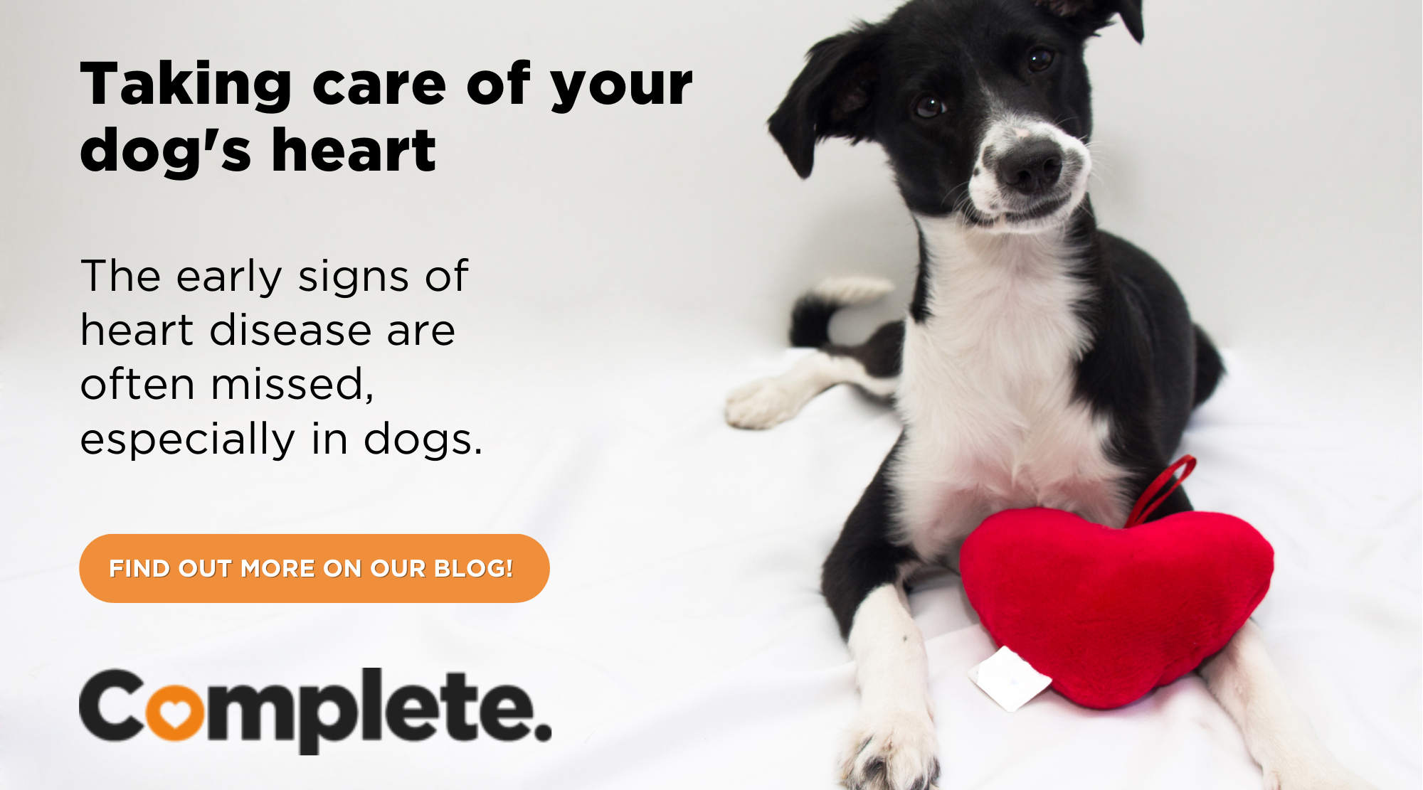 TAKING CARE OF YOUR DOG’S HEART - Complete Pet Foods