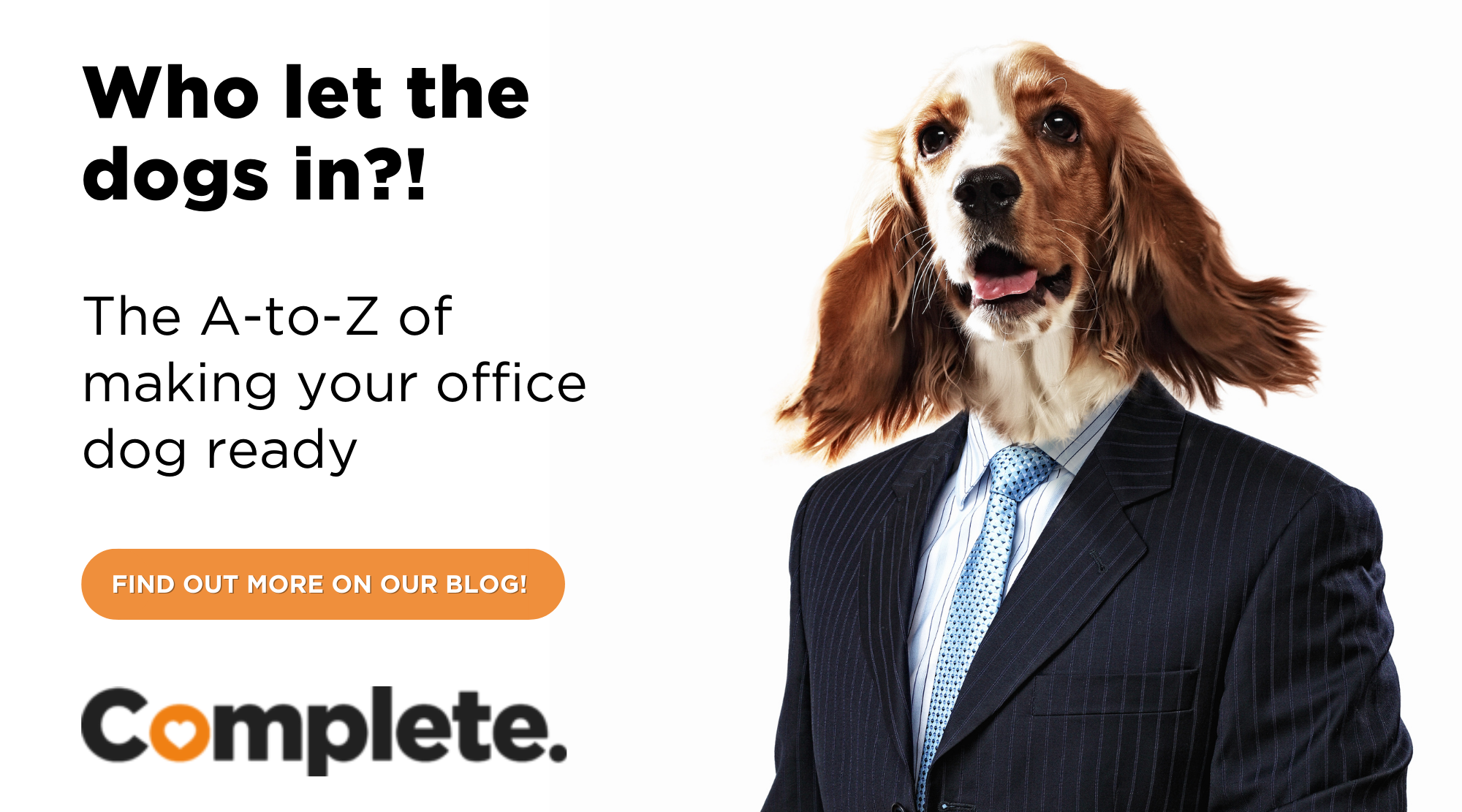 WHO LET THE DOGS IN? THE A-TO-Z OF MAKING YOUR OFFICE DOG READY ...