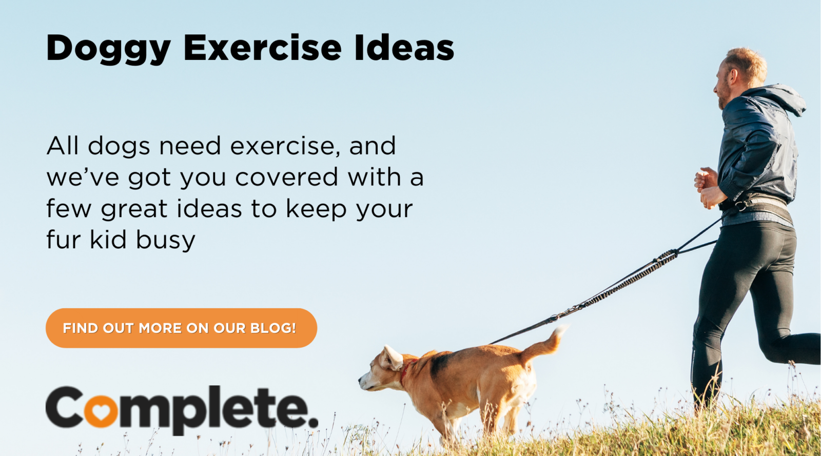 5 GREAT DOGGY EXERCISE IDEAS - Complete Pet Foods