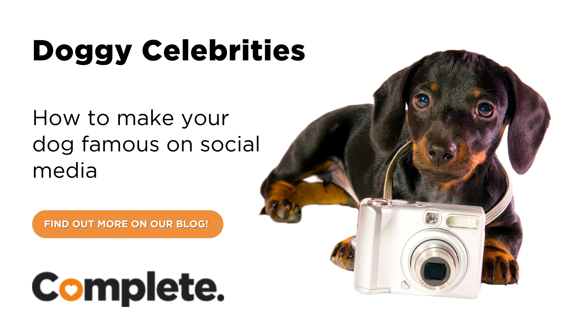 HOW TO MAKE YOUR DOG FAMOUS ON SOCIAL MEDIA - Complete Pet Foods