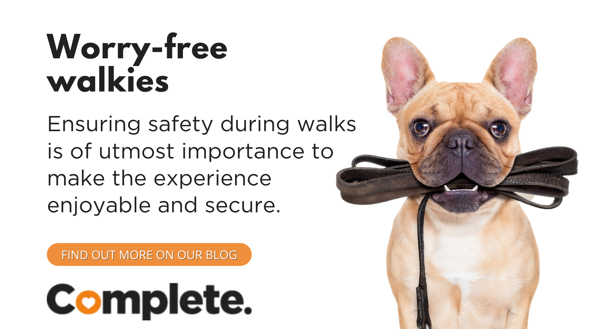 SAFETY TIPS FOR WALKING YOUR DOG: ENJOYING STROLLS WITHOUT WORRY - Complete Pet Foods