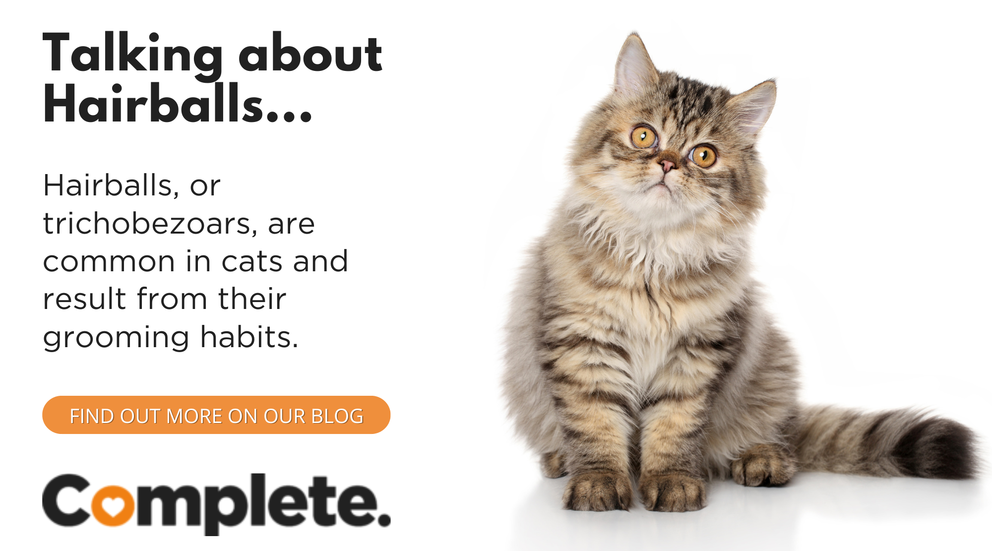 TALKING ABOUT HAIRBALLS - Complete Pet Foods