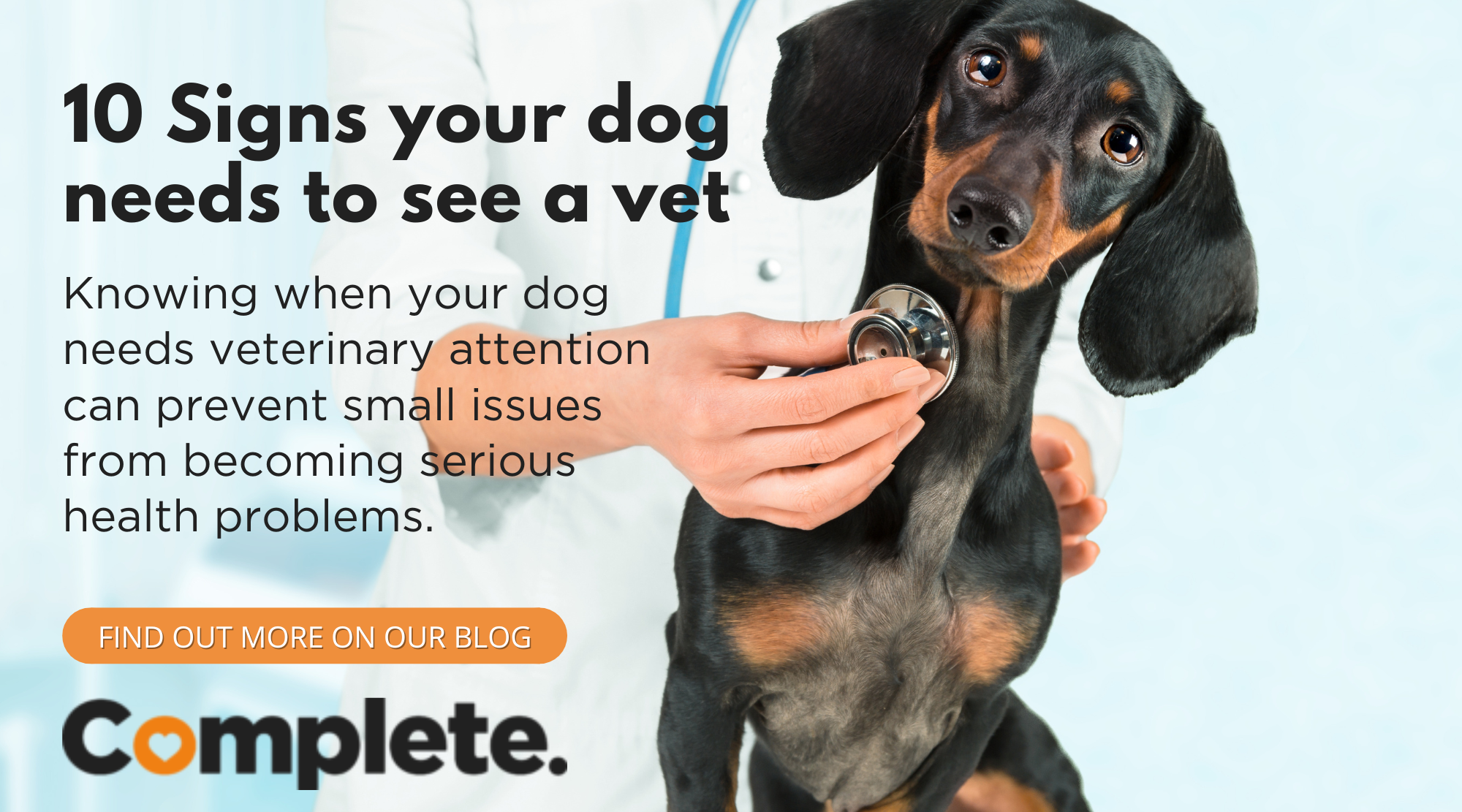 Ten signs that your dog needs to see the vet - Complete Pet Foods